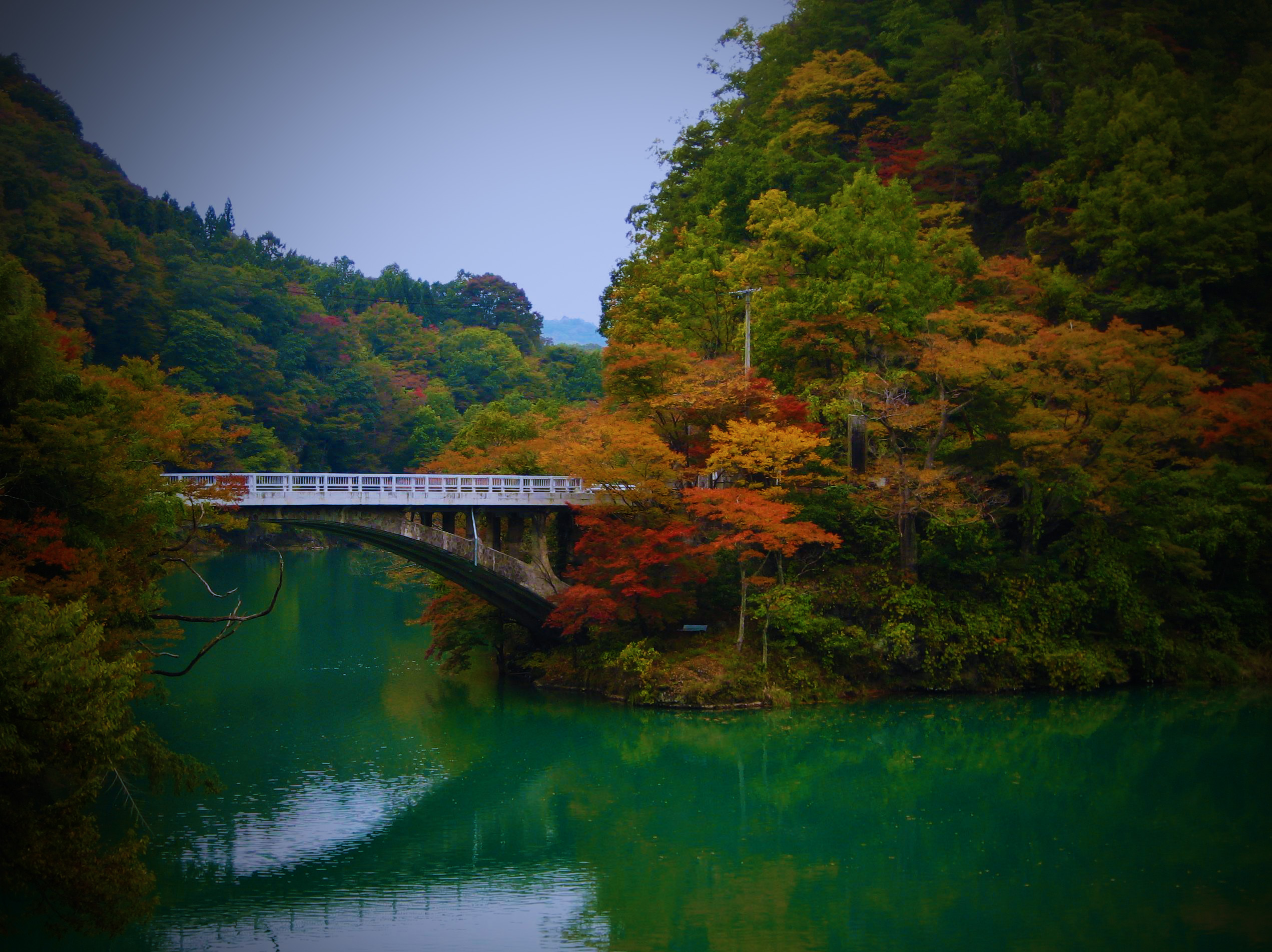 A&I Lifestyle - Explore the Japanese Countryside - Akiya & Inaka